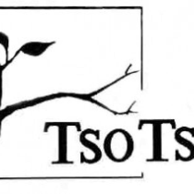 Tsotso magazine - Zimbabwe - Poetry International